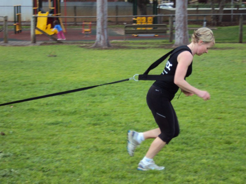 Sled Harness – Powerfit Equipment